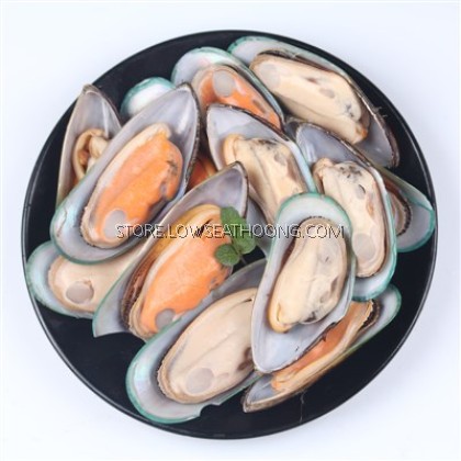 Frozen New Zealand Half Shelf Mussel 纽西兰半壳青蚝 - 800g/12box/ctn